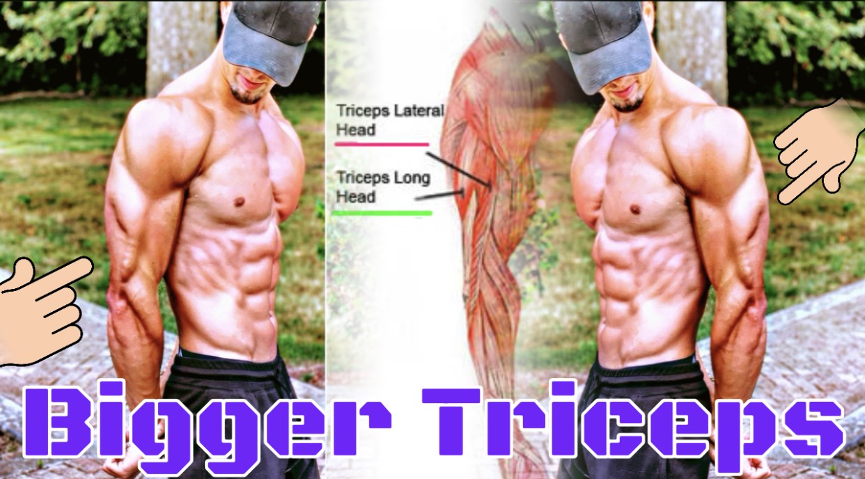 Growing Your Triceps With Cables! | Muscular Strength