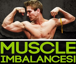 Two Reasons Why YOU Have Muscle Imbalances! | Muscular Strength